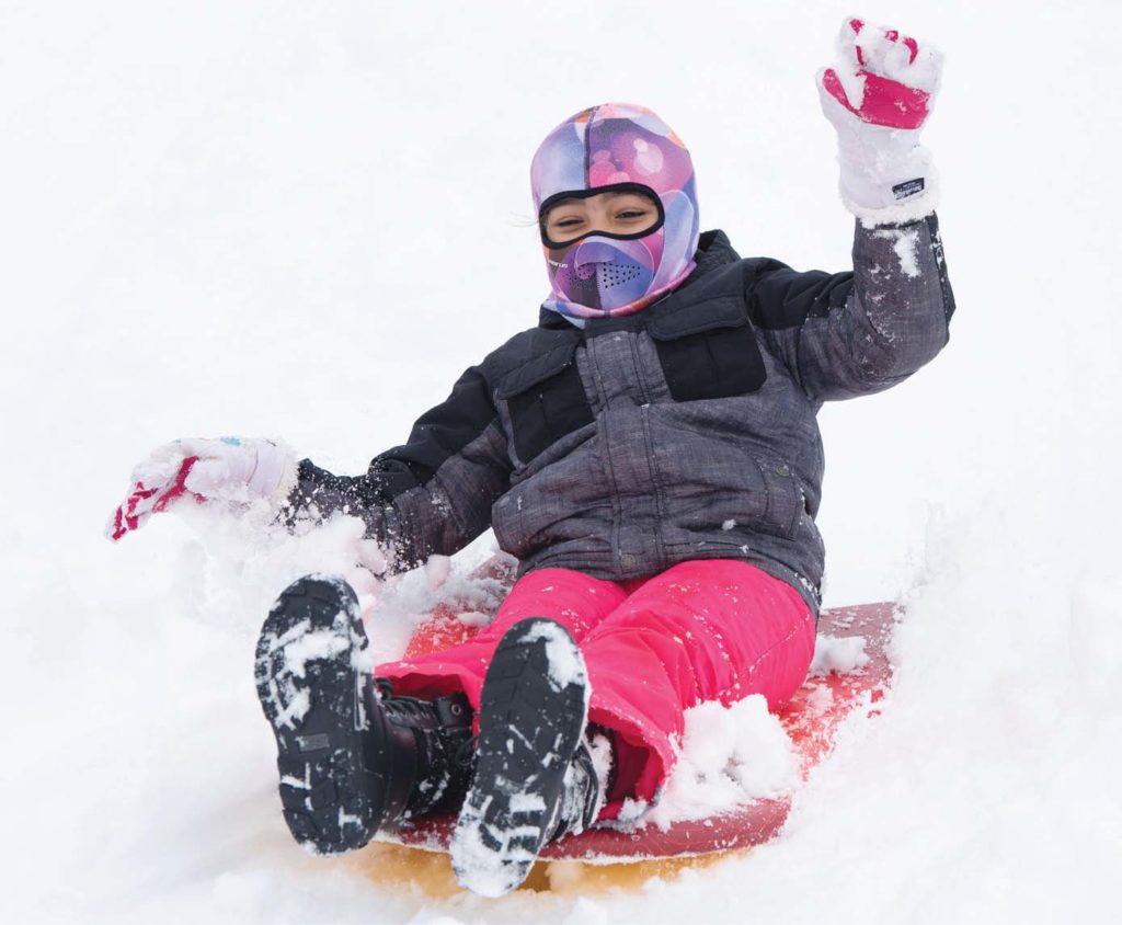 Making The Most of A Snow Day – Revere Journal